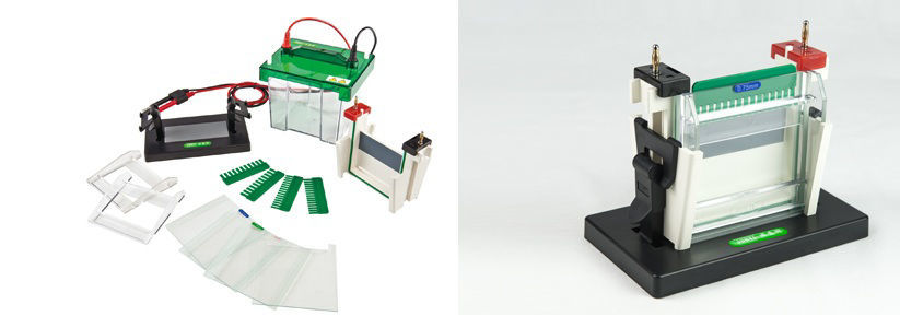 Cuba Vertical de electroforesis SCZ2+ | OneLab