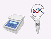Errores comunes en la PCR y cómo evitarlos | OneLab